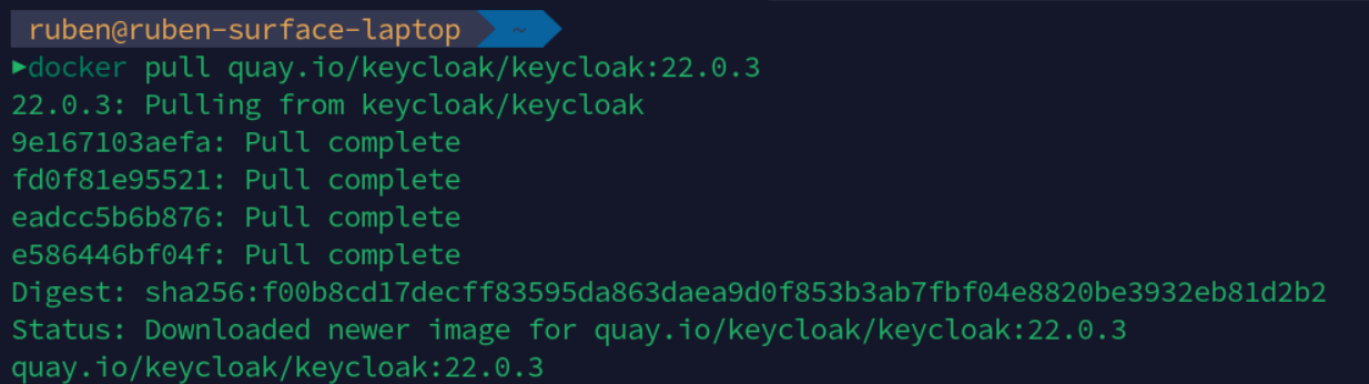 Keycloak installation and configuration with Docker – Ru Networking & Software